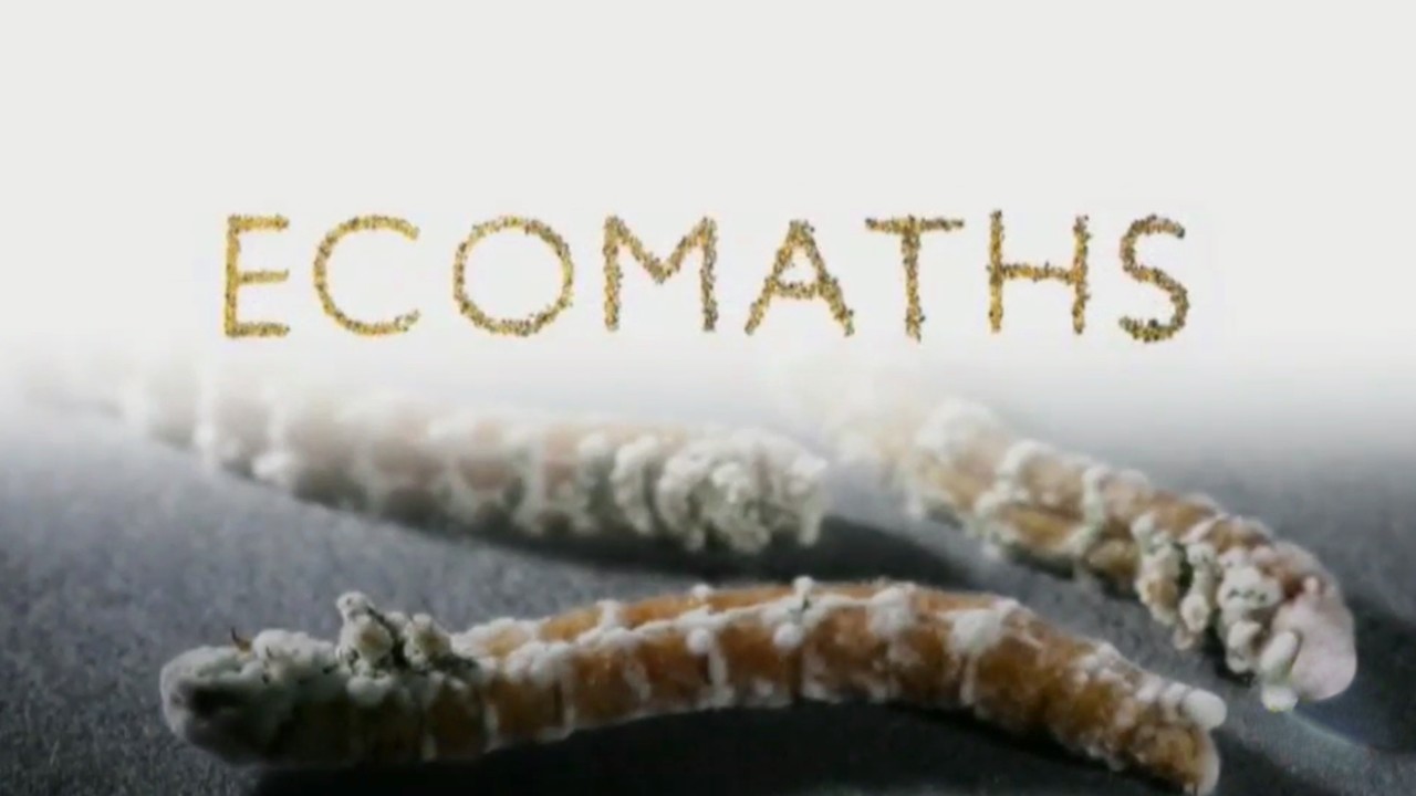 Ecomaths - Airs 10:40 AM 21 Aug 2017 on ABC ME - ClickView