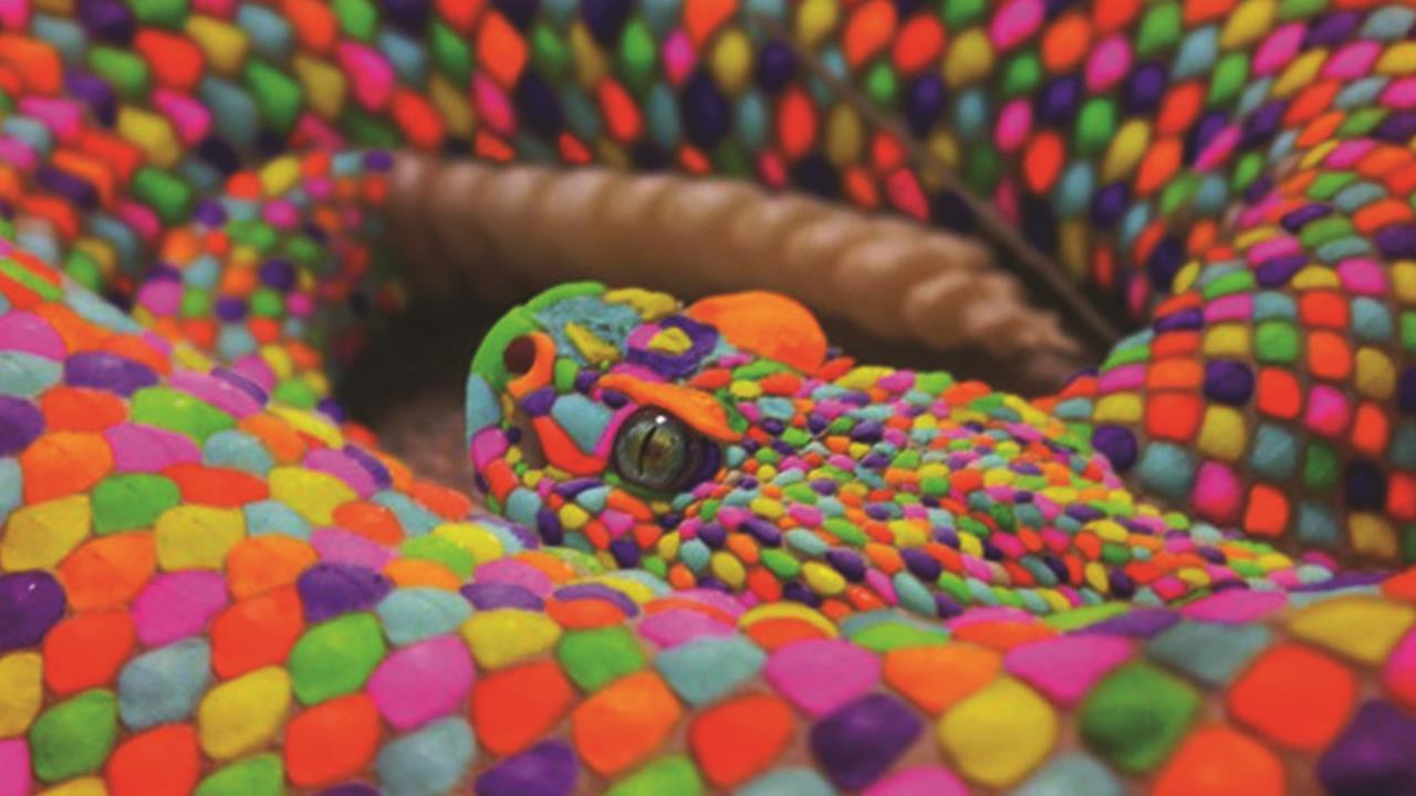 Rainbow Serpent - Airs 6:30 PM 30 Sep 2017 on NITV - ClickView