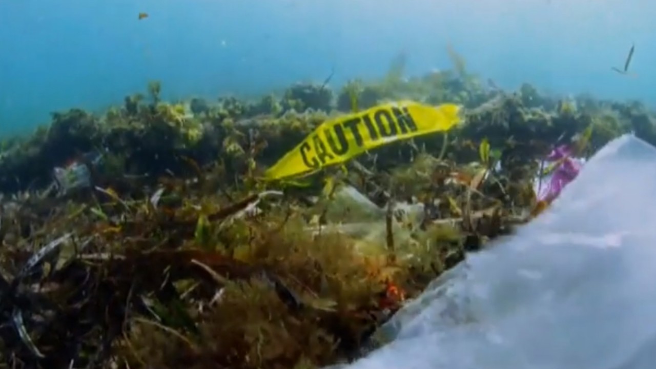 War on Waste: The Battle Continues - Airs 5:00 PM 25 Jun 2019 on ABC ...
