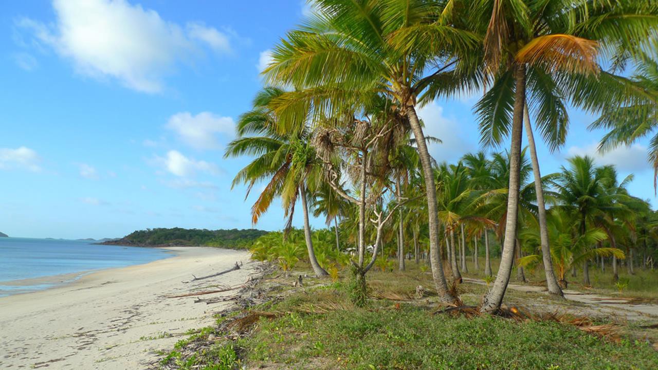 Lagau Danalaig - An Island Life - Airs 11:00 AM 2 Jul 2017 on NITV ...