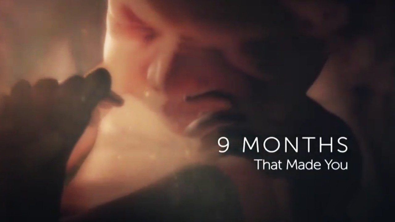 Michael Mosley Nine Months That Made You - Airs 8:30 PM 4 Dec 2017 on SBS ONE - ClickView