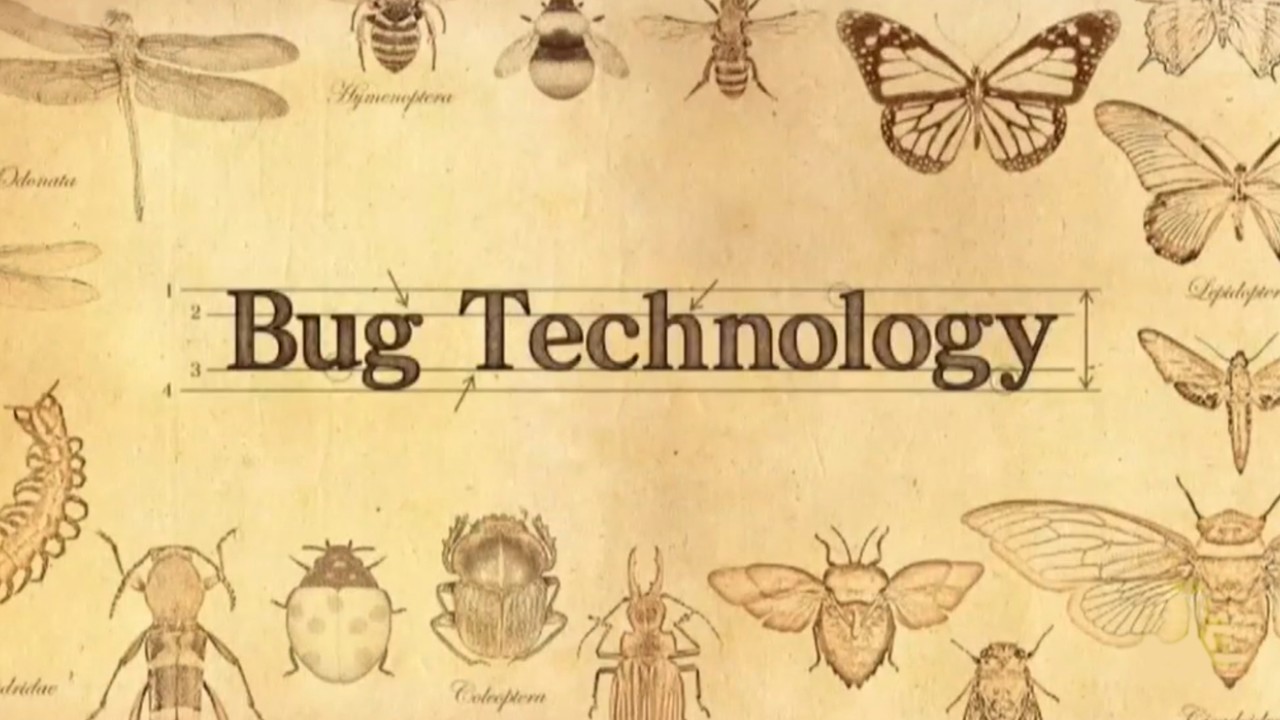 Bug Technology - Airs 11:20 AM 25 Jul 2019 on ABC ME - ClickView