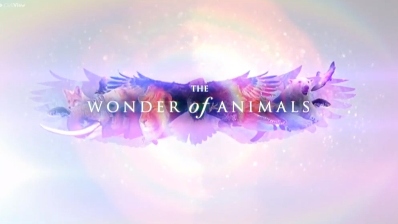The Wonder of Animals - Airs 2:45 PM 26 Jul 2019 on BBC Scotland ...