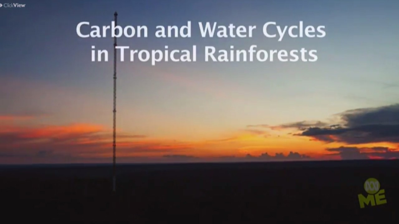 Carbon Cycles and Climate Change In The Tundra - Airs 11:30 AM 30 Jul 2019 on ABC ME - ClickView