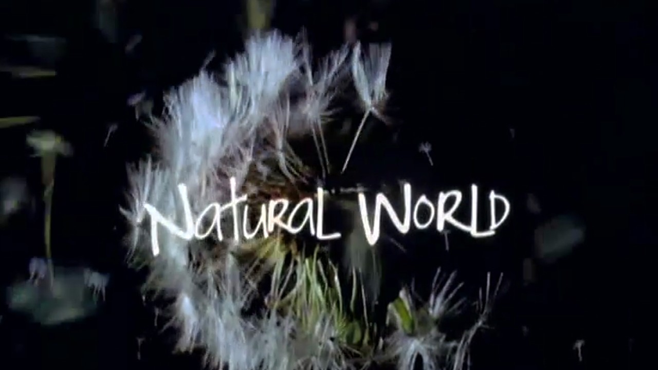 Natural World - Airs 6:00 PM 22 Apr 2018 on BBC TWO - ClickView