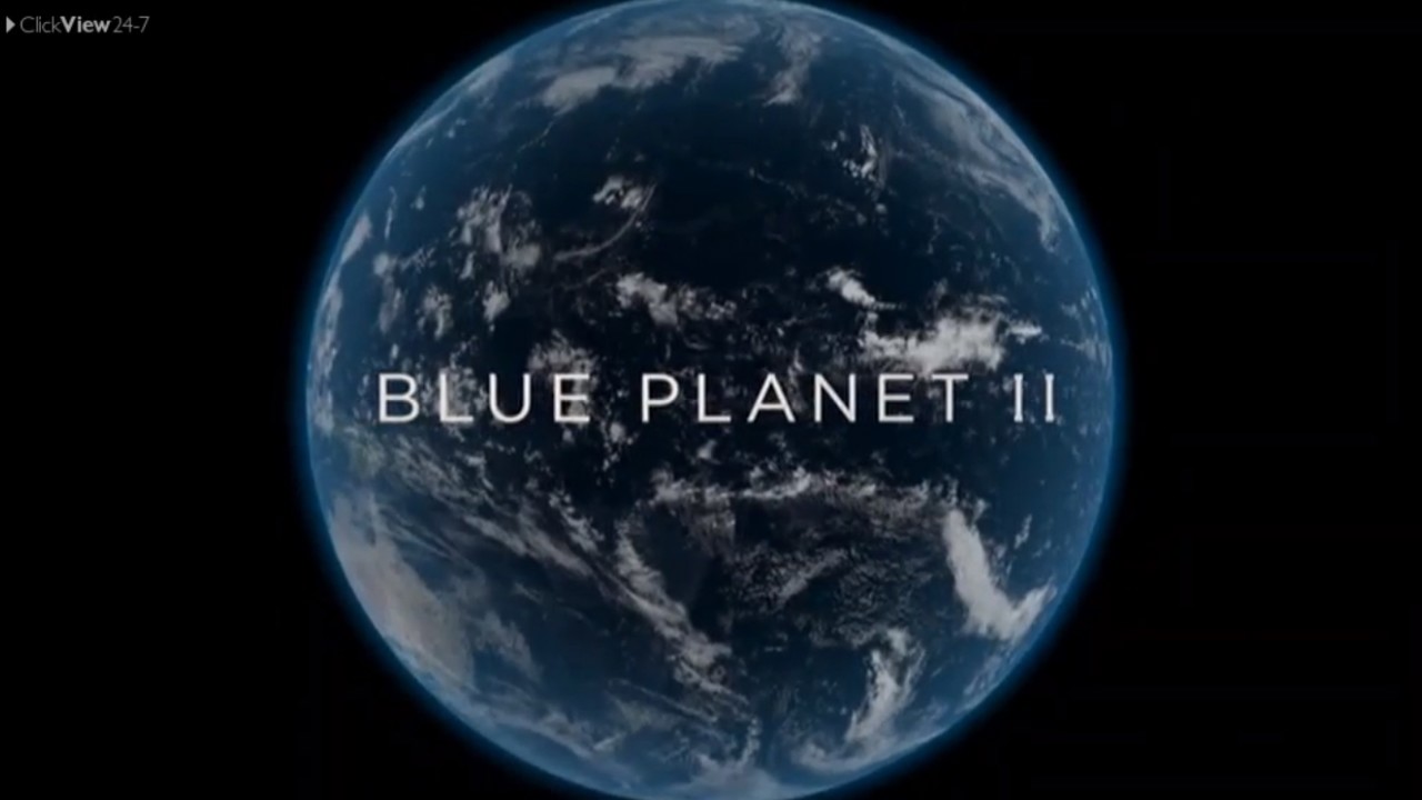Blue Planet II - Airs 1:00 PM 24 Aug 2019 on Yesterday - ClickView