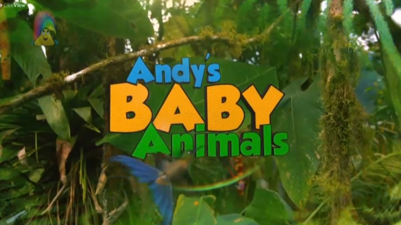 Andy's Baby Animals - Airs 11:20 AM 2 Sep 2019 on CBeebies - ClickView