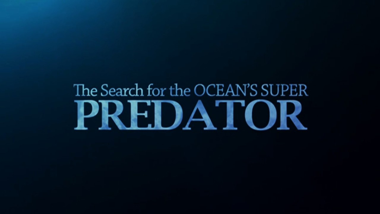 The Search for the Ocean's Super Predator - Airs 2:59 PM 19 May 2018 on ...