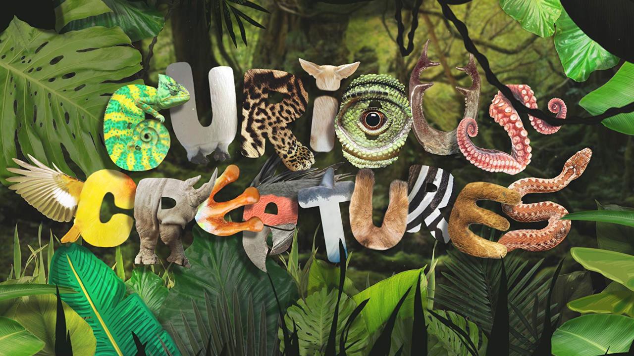 Curious Creatures - Airs 8:30 AM 21 Sep 2019 on BBC TWO - ClickView