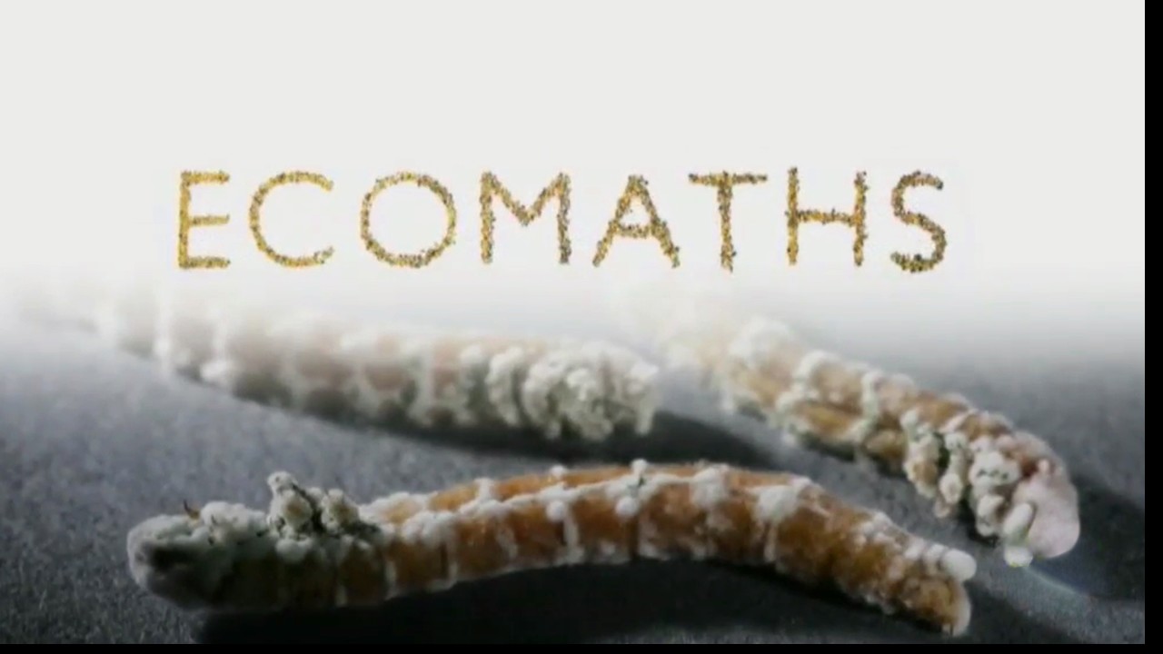 Ecomaths - Airs 10:33 AM 25 Jun 2018 on ABC ME - ClickView