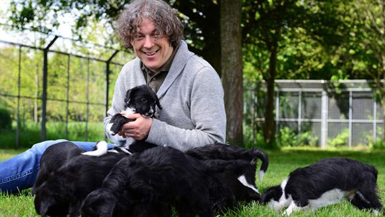The Dog Rescuers with Alan Davies: Puppy Special - ClickView