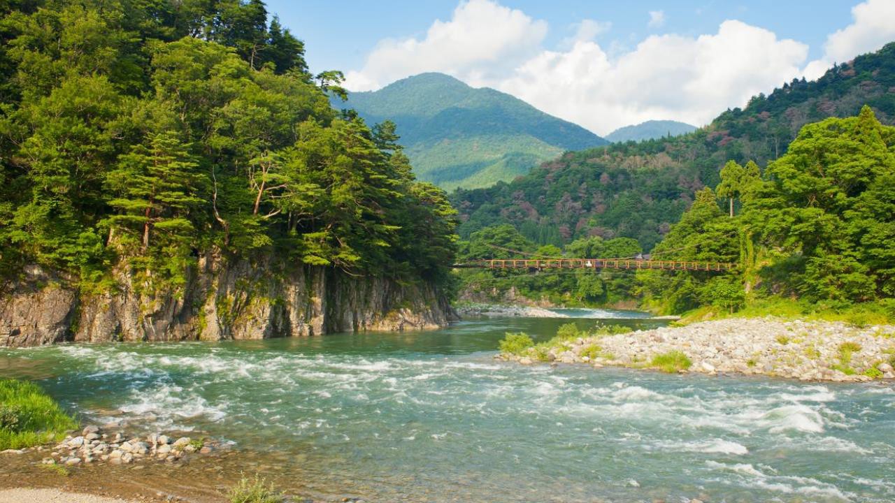 Standing on Sacred Ground - Airs 5:00 PM 21 Jul 2018 on NITV - ClickView