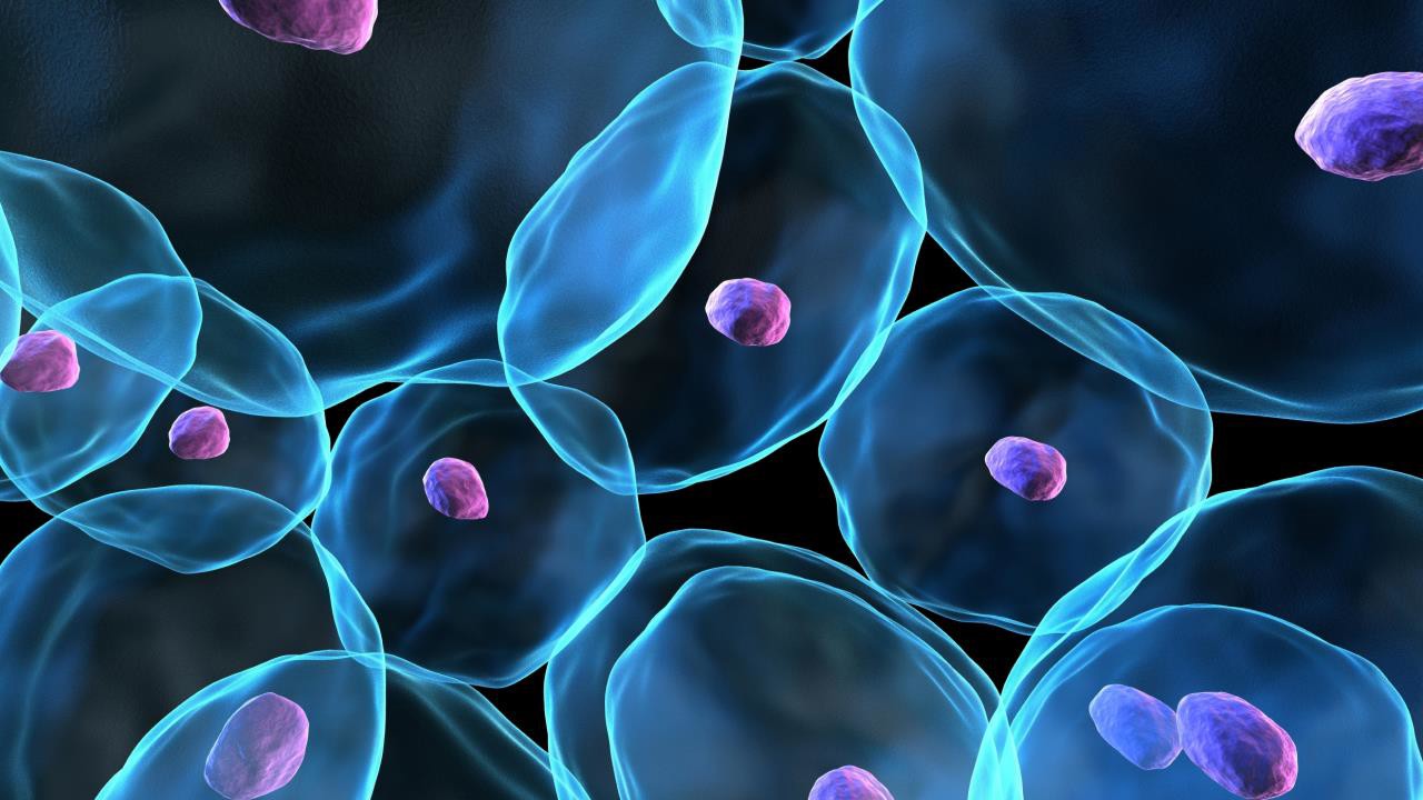 Guts: The Strange and Wonderful World of the Human Stomach - ClickView