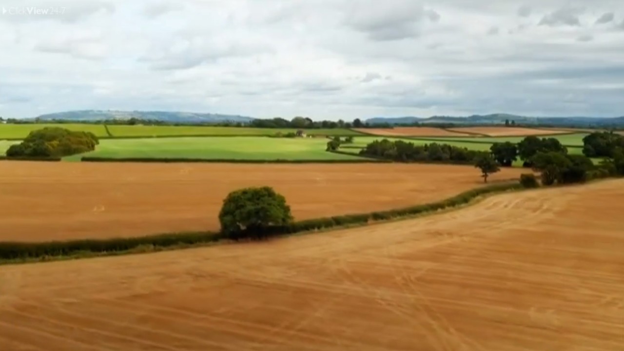 The Farmers' Country Showdown - Airs 11:45 AM 1 Aug 2018 on BBC ONE - ClickView