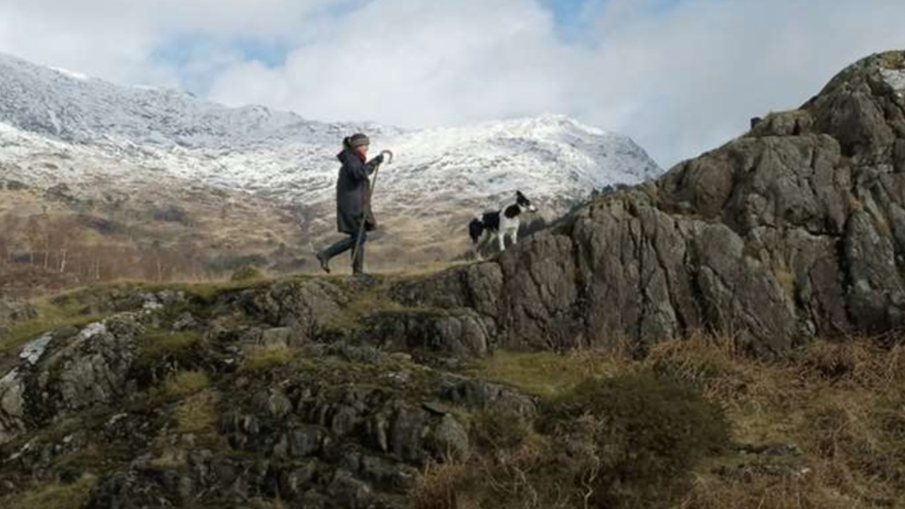 Snowdonia Shepherdess - Airs 8:00 AM 29 Aug 2018 on BBC TWO - ClickView