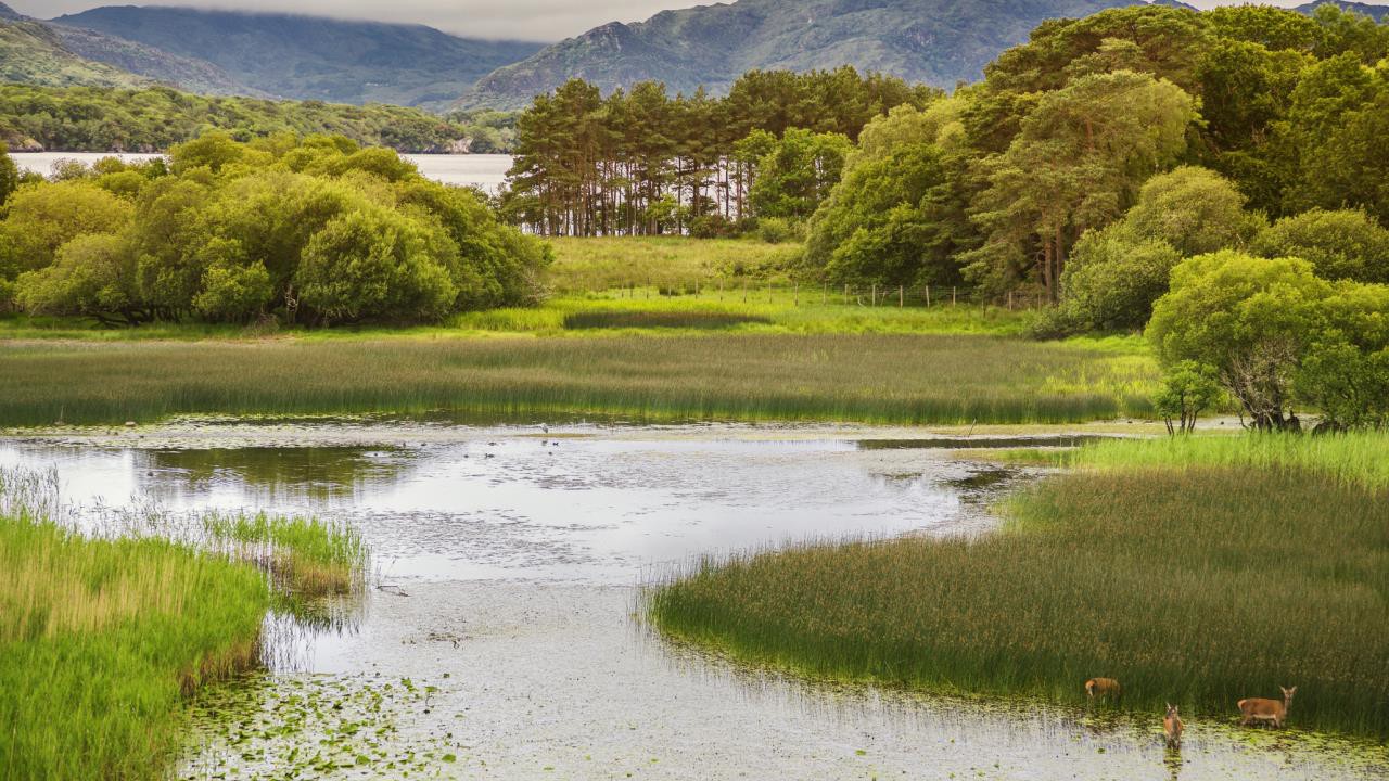 Britain's Lost Waterlands: Escape to Swallows and Amazons Country ...