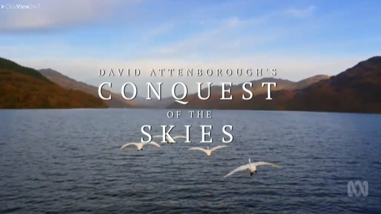 David Attenborough's Conquest of The Skies - Airs 9:30 PM 25 Sep 2018 on ABC - ClickView