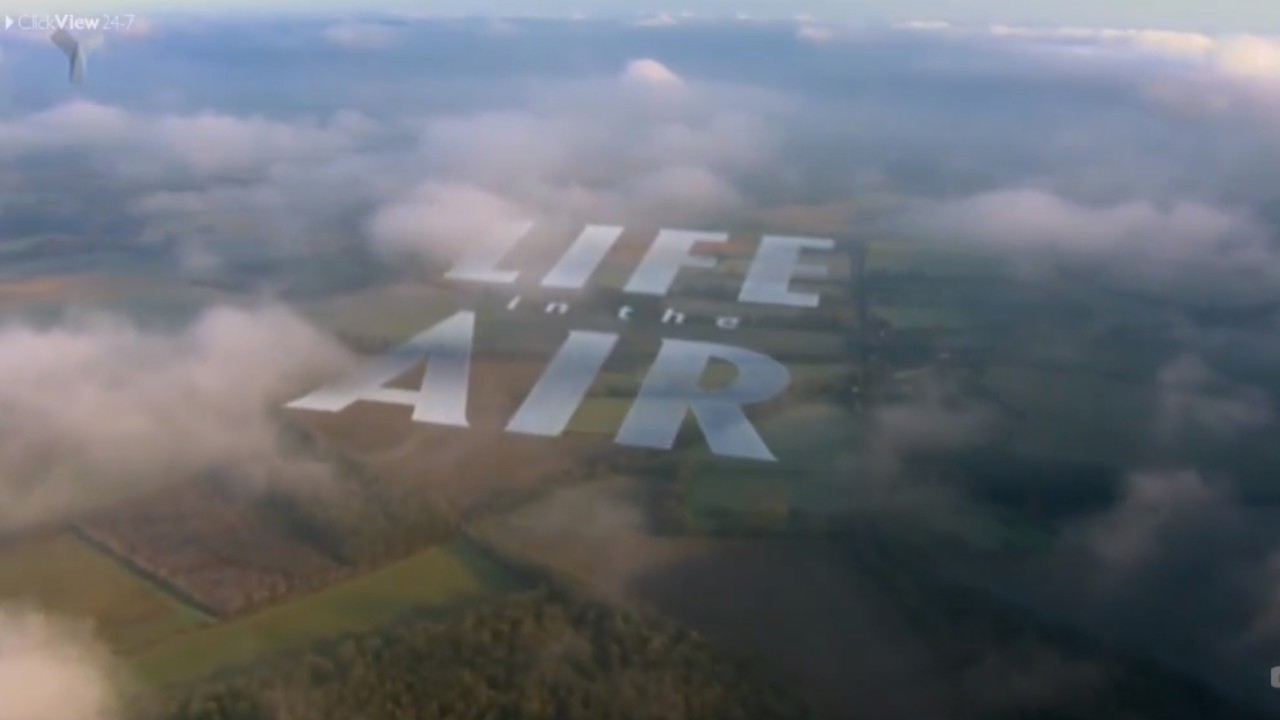 Life in the Air - Airs 3:30 PM 26 Sep 2018 on BBC TWO - ClickView