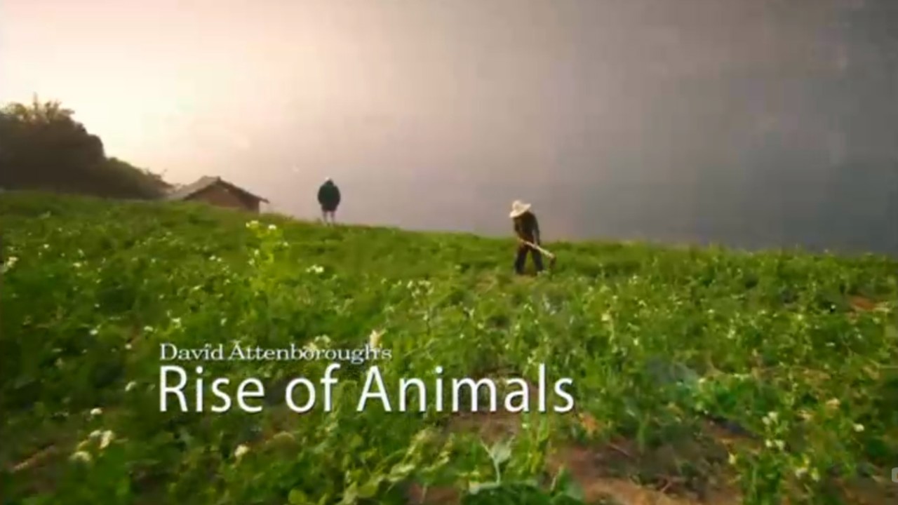 David Attenborough's Rise of Animals: Triumph of the Vertebrates ...