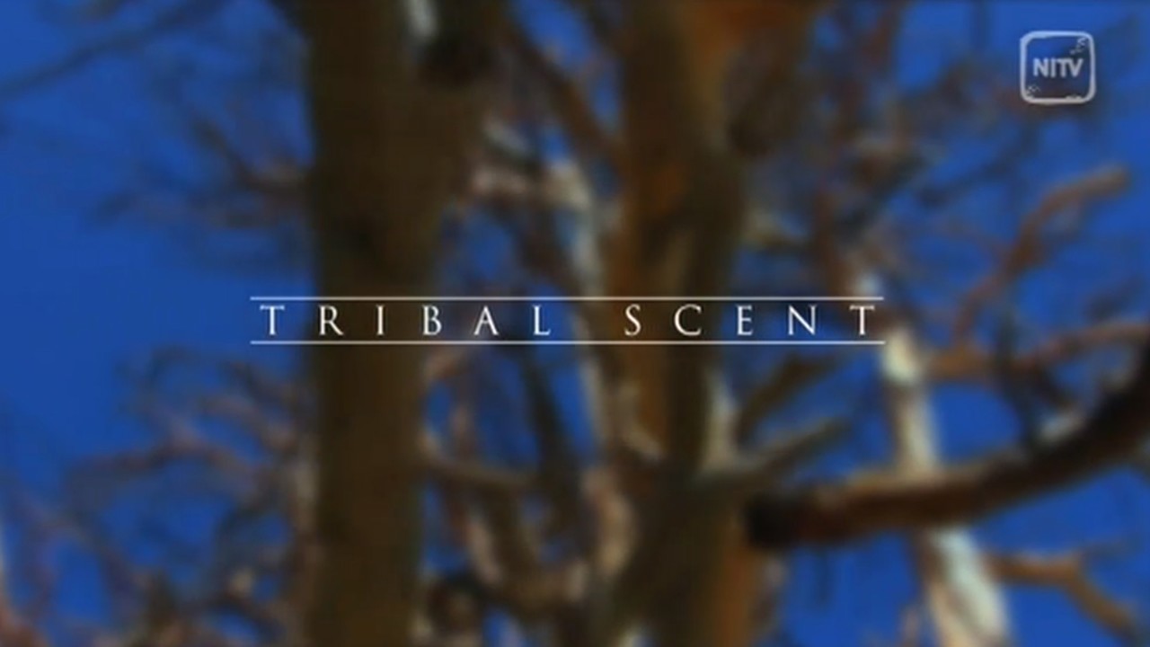 Tribal Scent - Airs 10:00 AM 8 Nov 2018 on NITV - ClickView