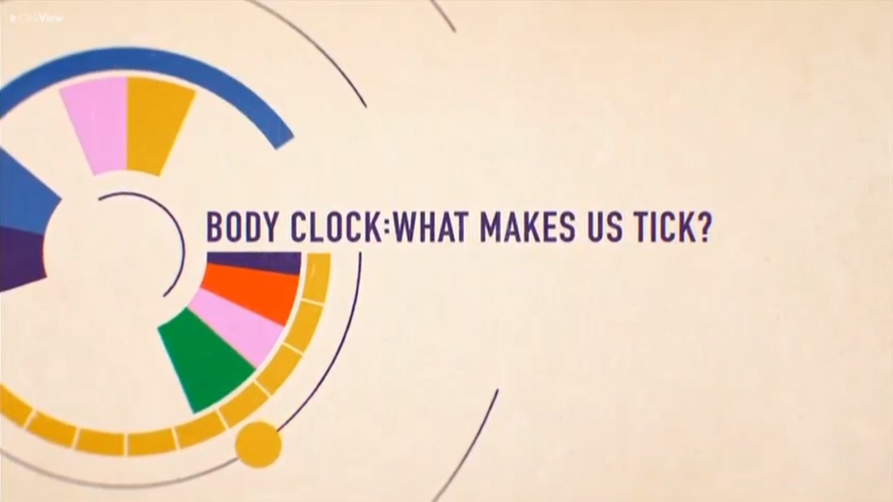 Body Clock What Makes Us Tick Airs 8 40 Pm 27 Nov 2018 On Sbs One