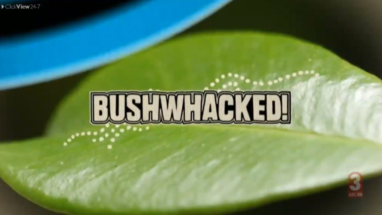 Bushwhacked! - Airs 9:25 AM 3 Dec 2018 on ABC ME - ClickView