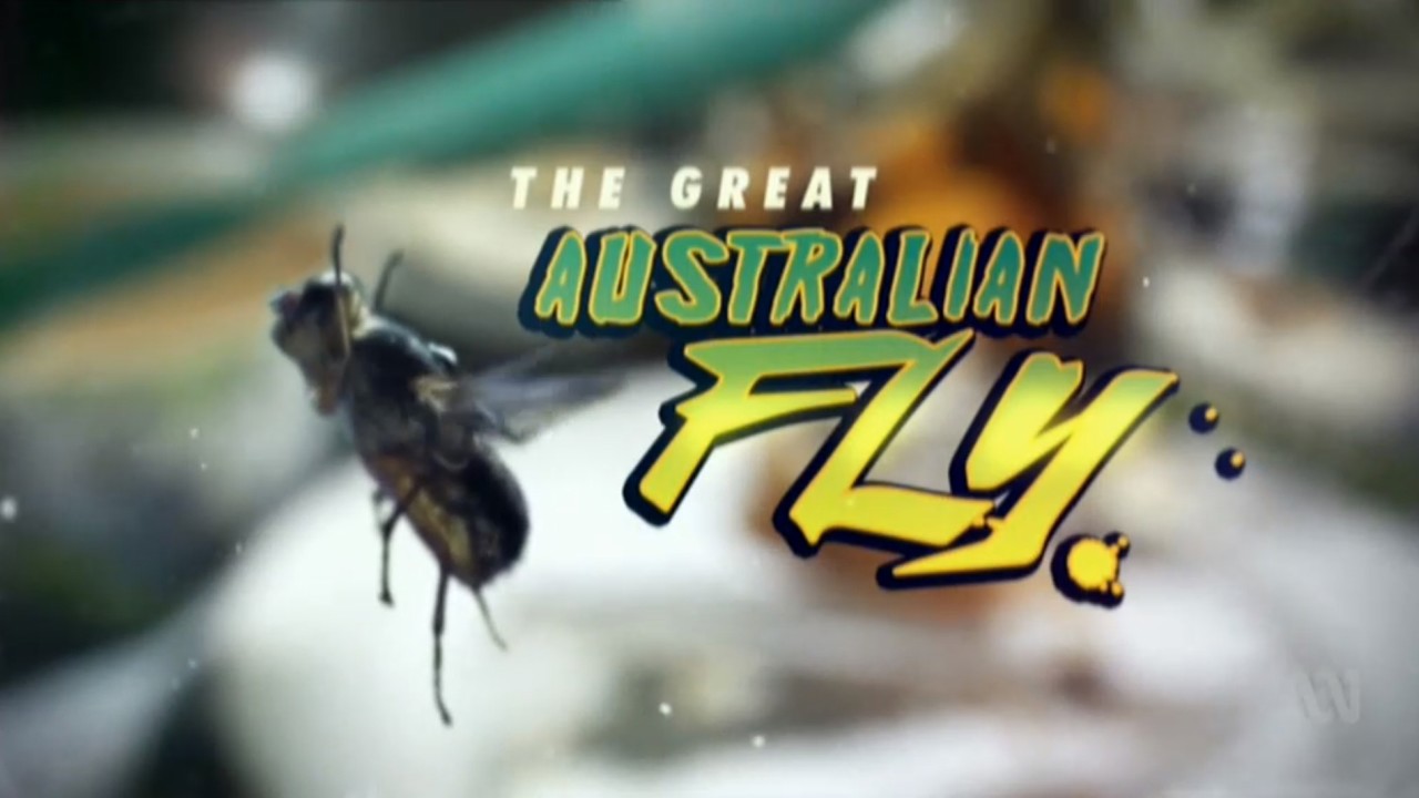 The Great Australian Fly - Airs 11:30 PM 12 Dec 2018 on ABC - ClickView