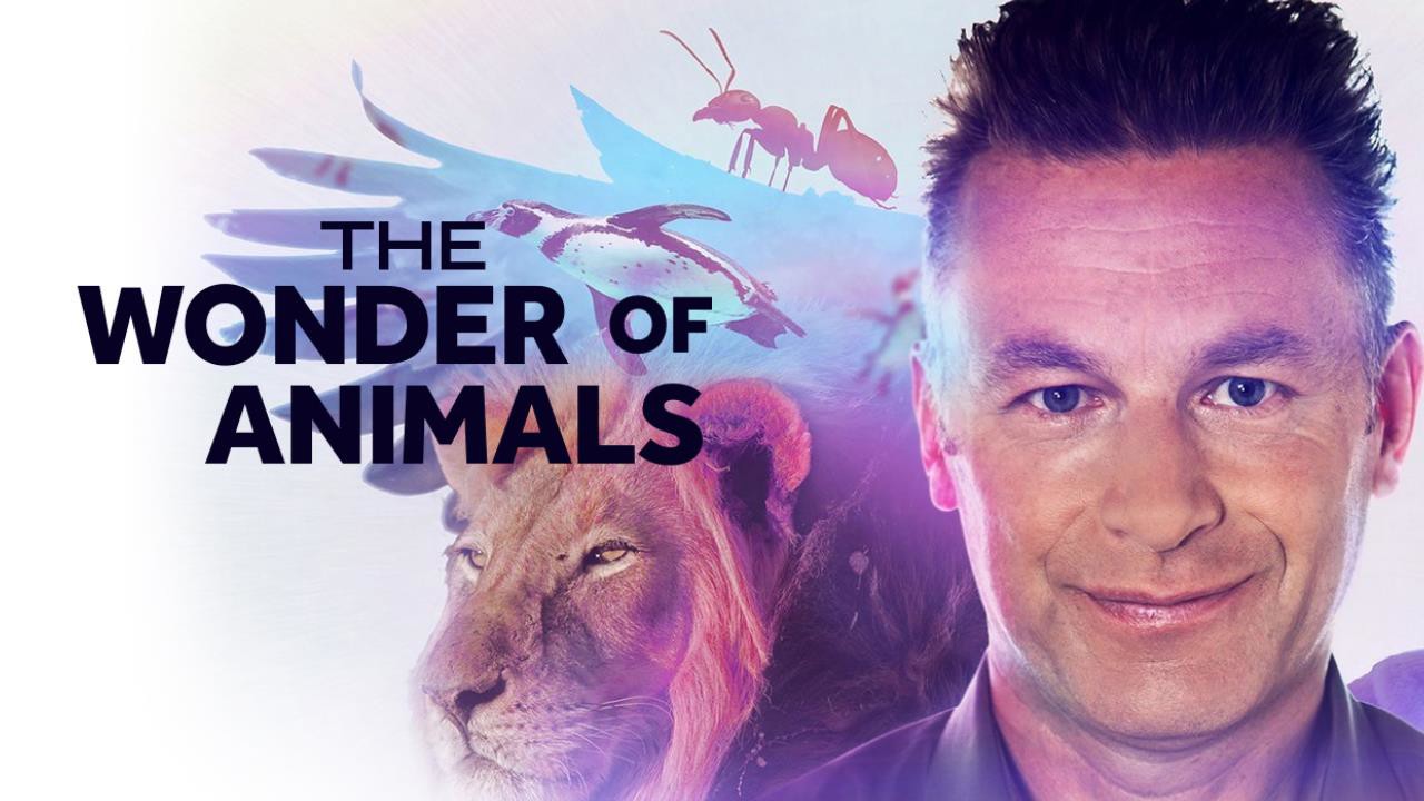 The Wonder of Animals - Airs 4:45 PM 10 Jan 2019 on BBC TWO - ClickView