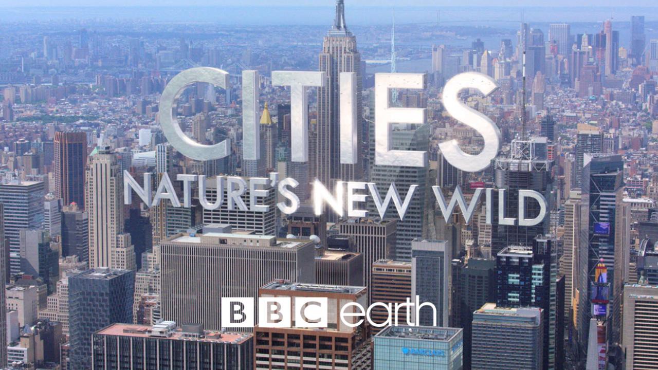 Cities: Nature's New Wild - Airs 9:00 PM 13 Jan 2019 on BBC TWO - ClickView