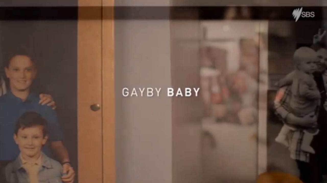 Gayby Baby - Airs 1:50 PM 4 Feb 2019 on SBS VICELAND - ClickView