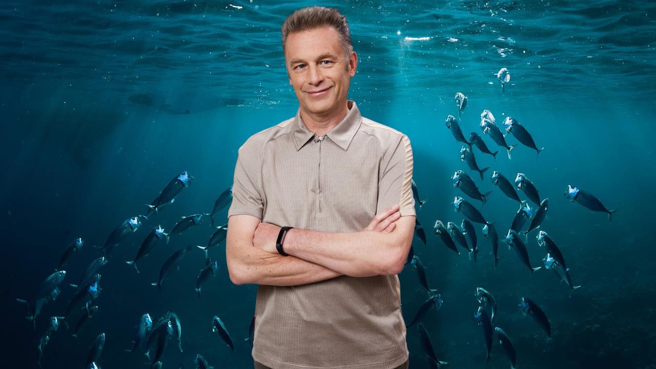 Blue Planet UK - Airs 4:30 PM 29 Mar 2019 on BBC ONE - ClickView