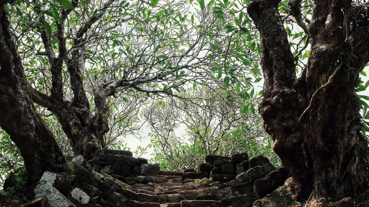 My Place - Airs 10:50 AM 27 Mar 2019 on ABC ME - ClickView